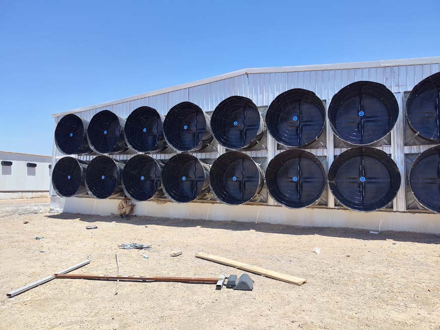 Broiler Breeder Project I | GREENHOUSE EQUIPMENT KSA | GREENHOUSE ...