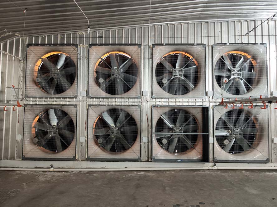 Broiler Breeder Project I | GREENHOUSE EQUIPMENT KSA | GREENHOUSE ...