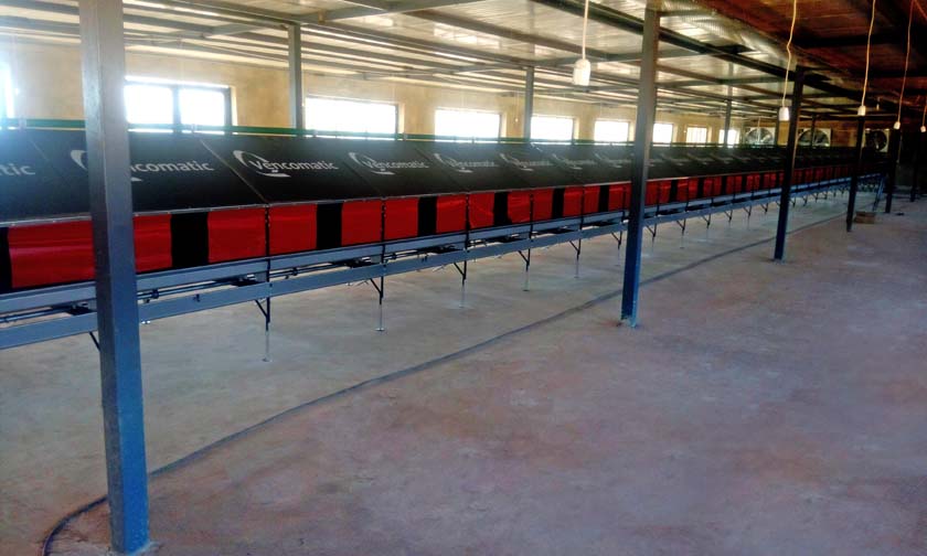 breeder-project-i | GREENHOUSE EQUIPMENT KSA | GREENHOUSE EQUIPMENT UAE